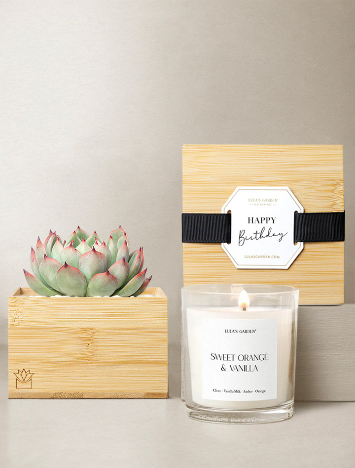 BAMBOO GARDENS – Lula's Garden