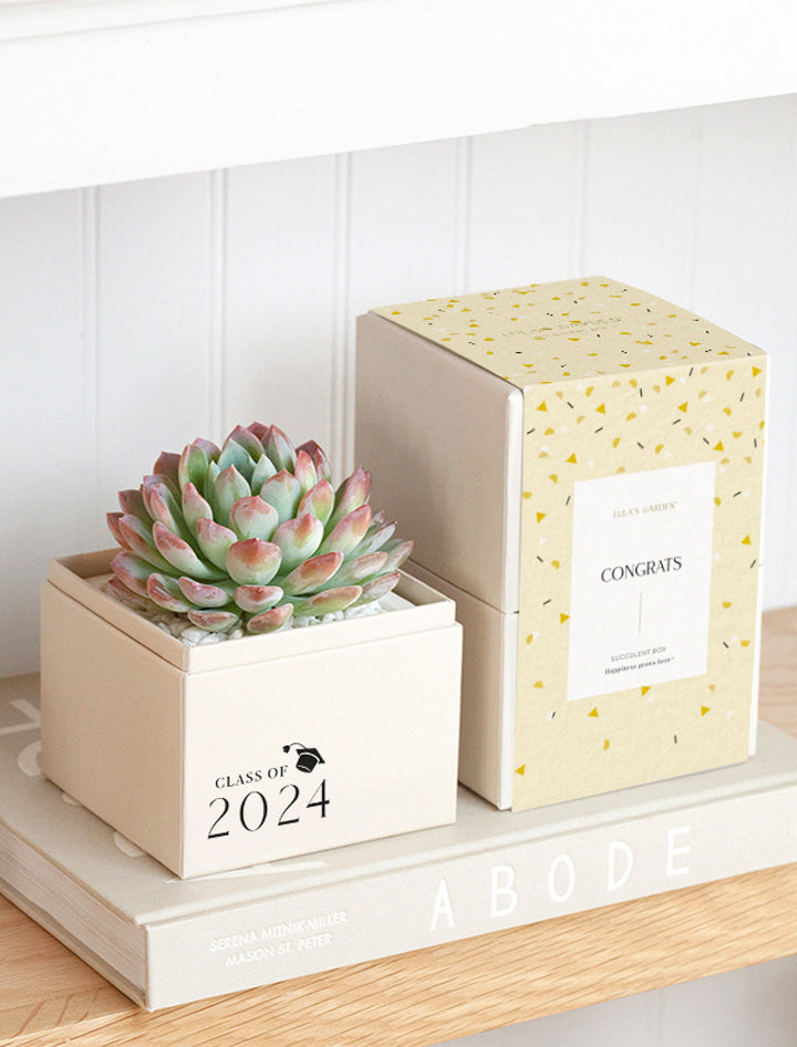 Succulent Graduation Gifts | Plant Delivery | Eco-Friendly Gifts ...