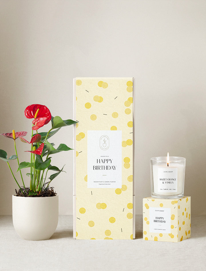 LULA'S PLANTS – Lula's Garden