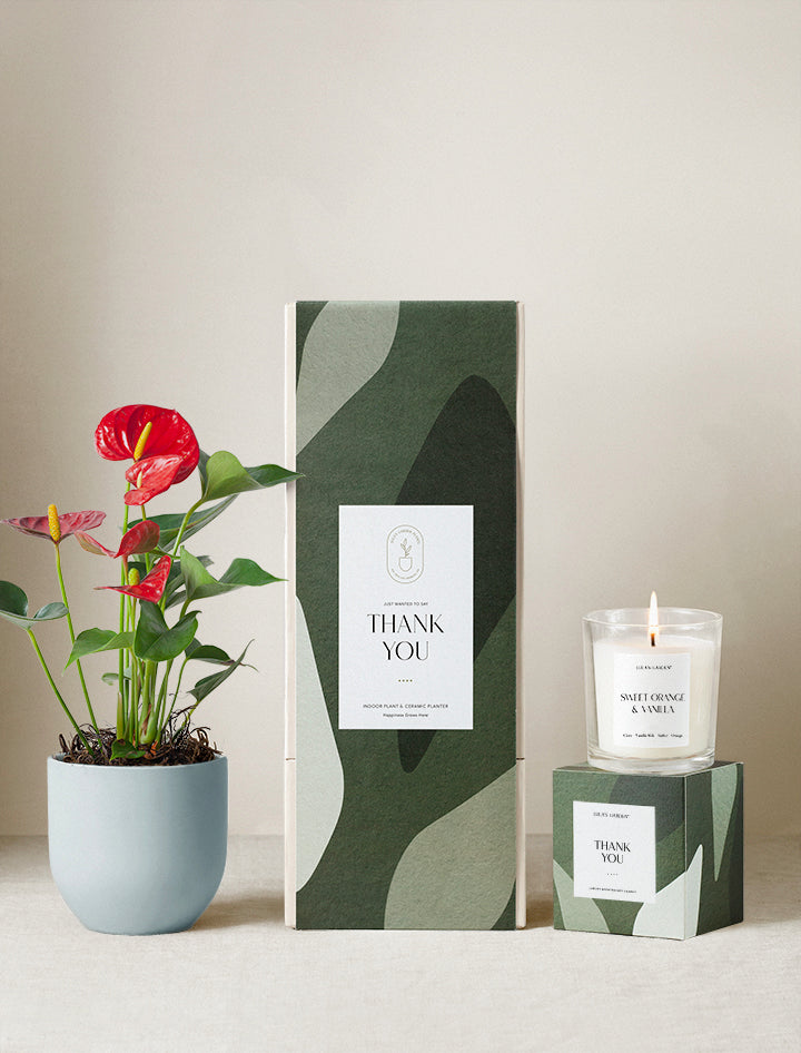 LULA'S PLANTS – Lula's Garden