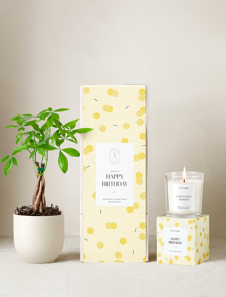 Birthday Gift | Plant Gifts | Best Gifts For Plant Lovers – Lula's Garden