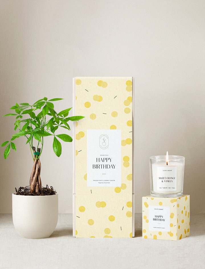 Birthday Gift | Plant Gifts | Best Gifts For Plant Lovers – Lula's Garden