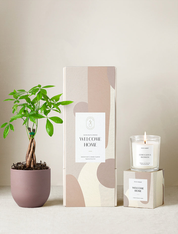 Housewarming Gift | Plant Gifts | Best Gifts For Plant Lovers – Lula's ...