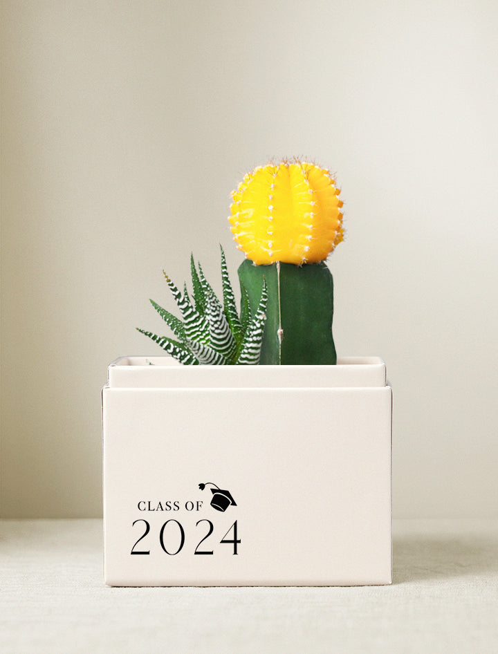 Succulent Graduation Gifts | Plant Delivery | Eco-Friendly Gifts ...