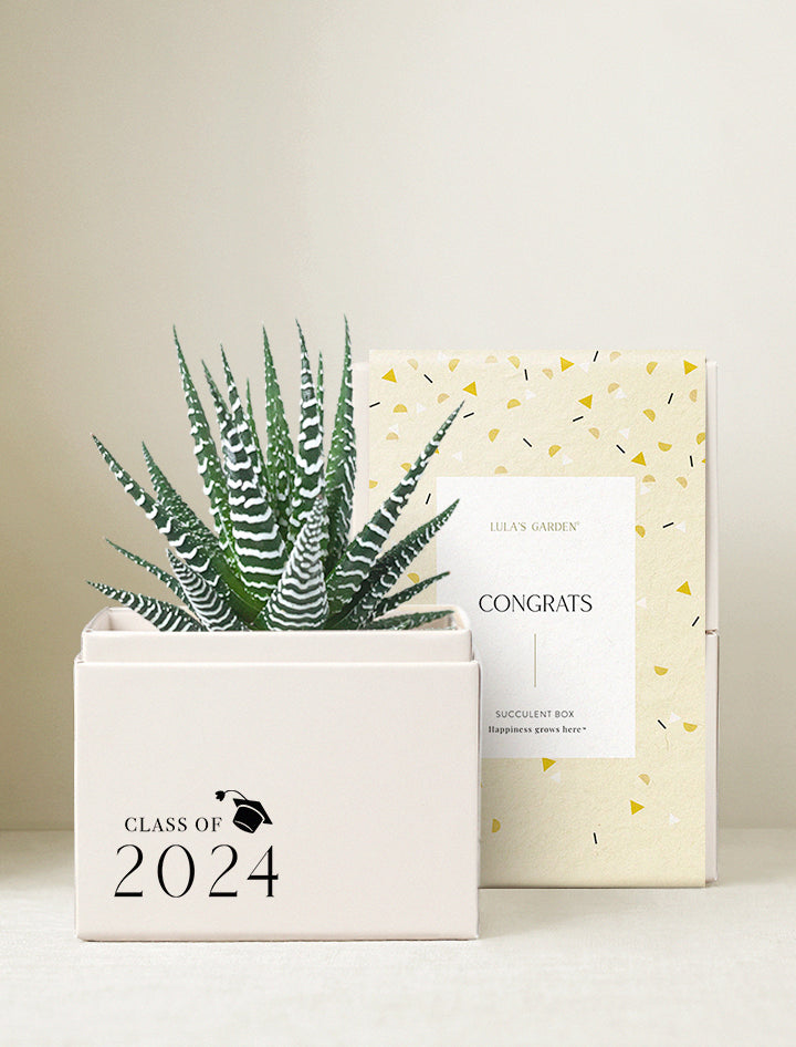 Succulent Graduation Gifts | Plant Delivery | Eco-Friendly Gifts ...