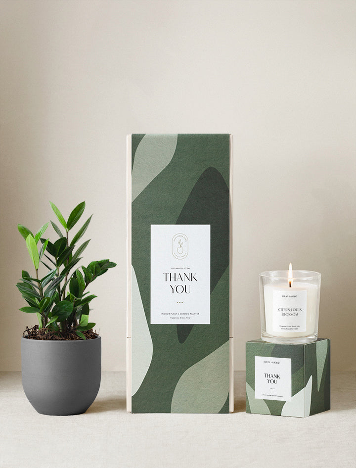 Thank You Gift | Plant Gifts | Best Gifts For Plant Lovers – Lula's Garden